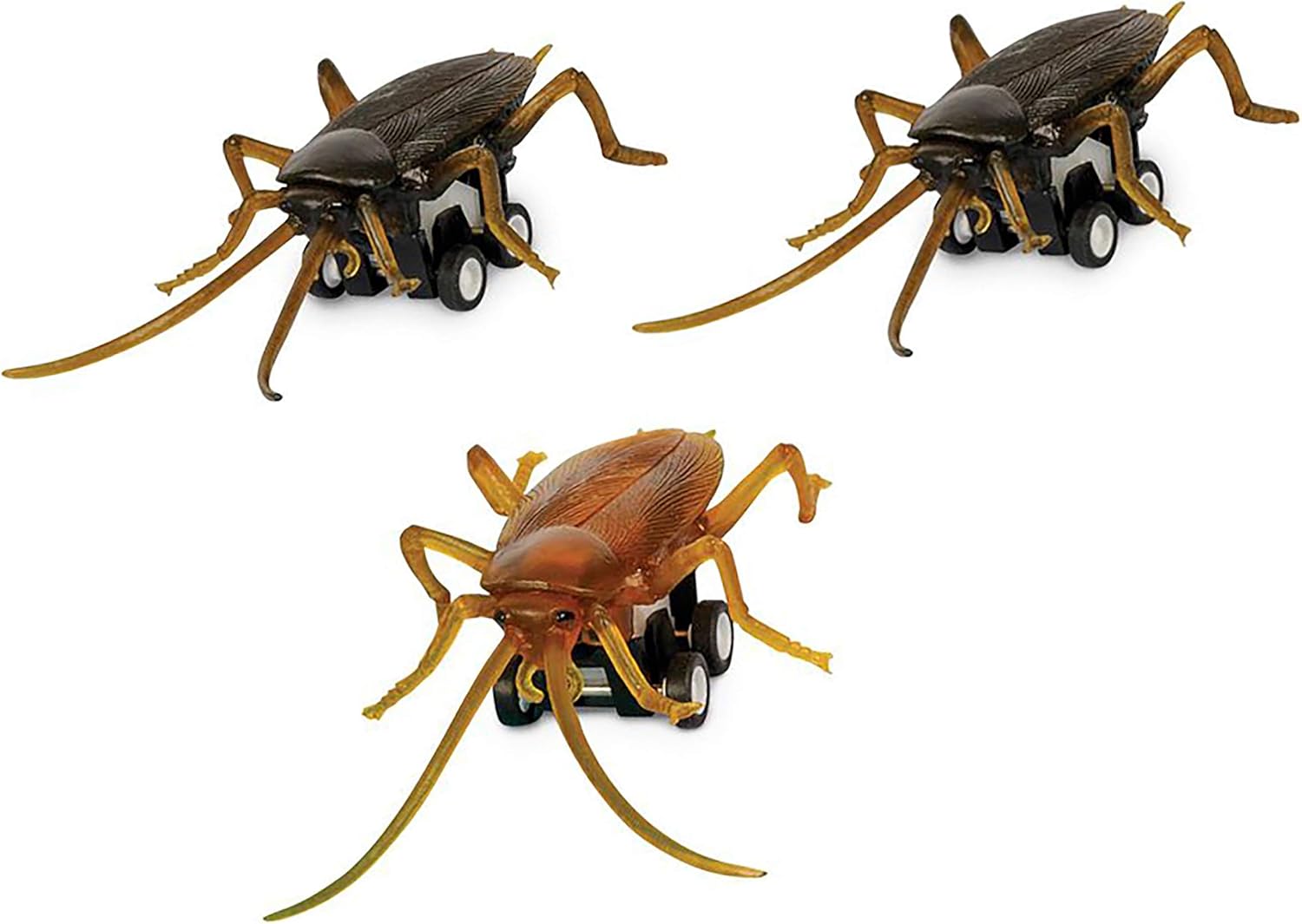 Amazon.com: Archie McPhee Novelty Gag Gift Racing Roaches 3 Piece Set ...