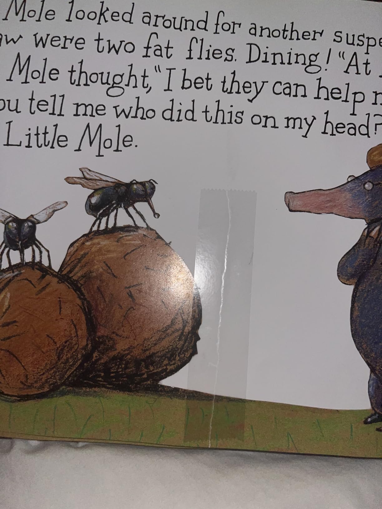 The Story of the Little Mole Who Went in Search of Whodunit: A Picture ...