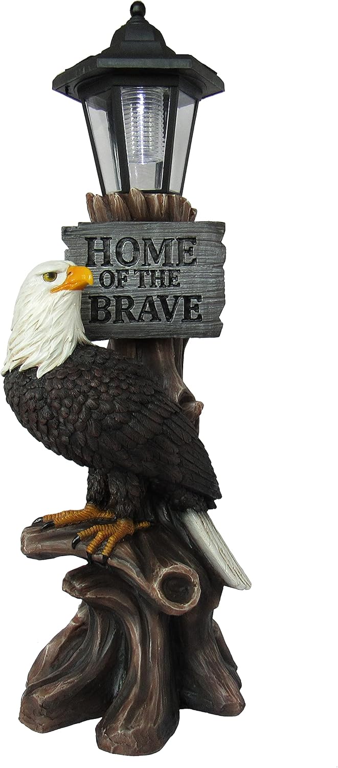 Amazon.com : DWK Bald Eagle Outdoor Statue Solar Lantern Welcome Sign ...