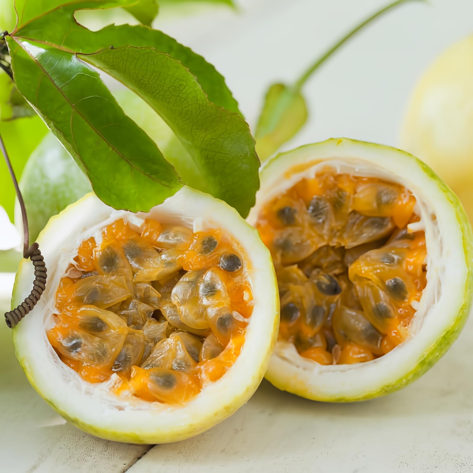 Amazon.com : Sweet Granadilla Passiflora Ligularis Grenadilla ...