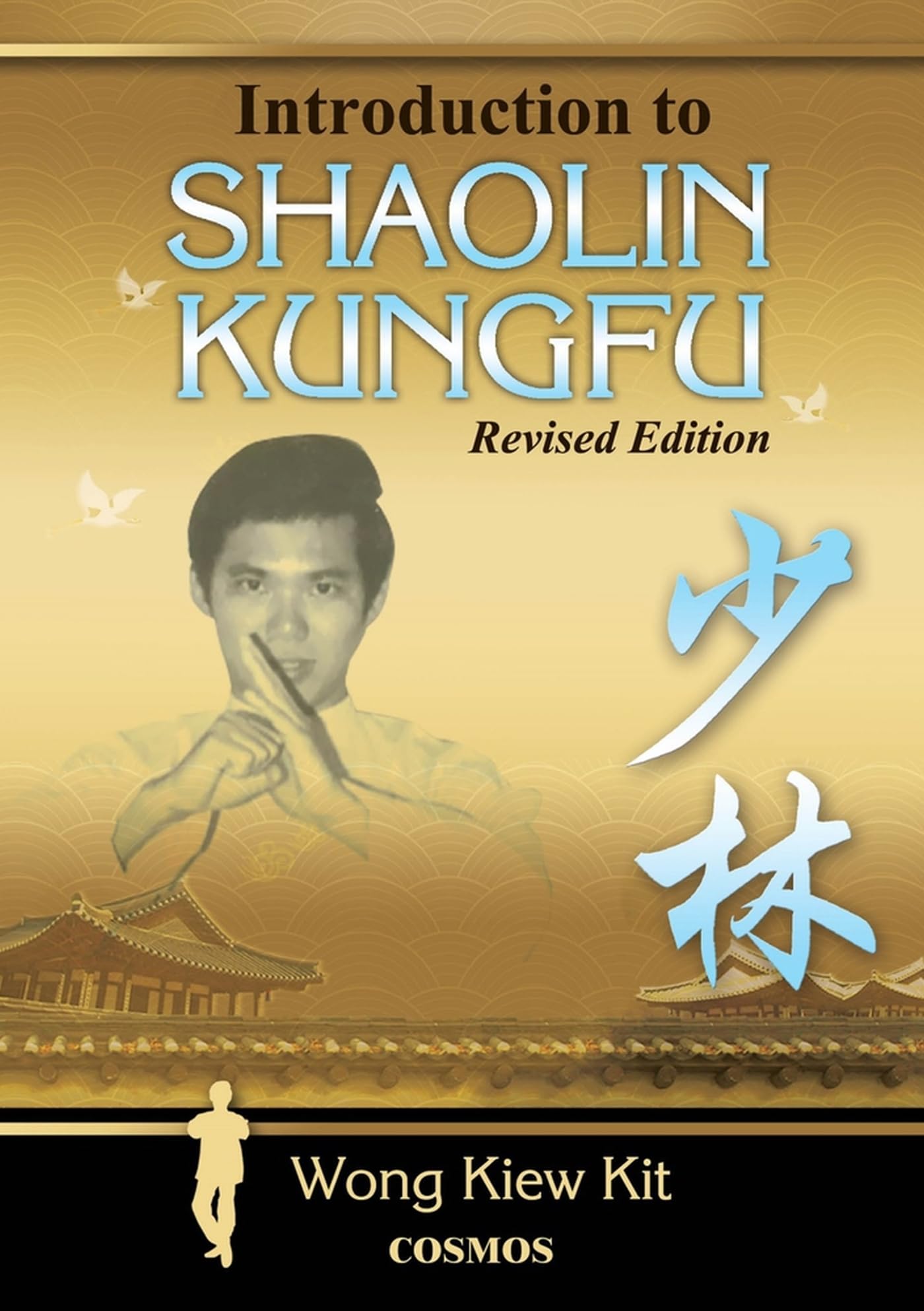 Amazon.com: Introduction to Shaolin Kungfu: 9789834087975: Wong, Kiew ...