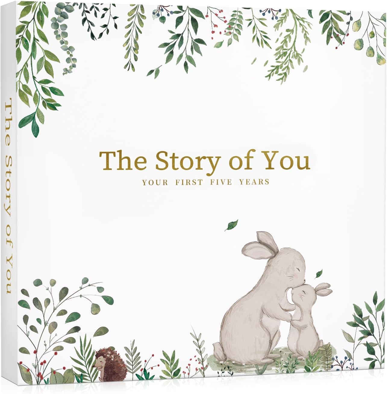 Amazon.com : Baby Book Keepsake for Boys or Girls Timeless First 5 Year ...