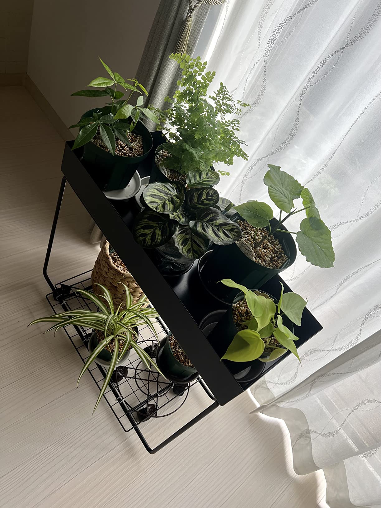 Amazon.co.jp: Rocotto プランター アイアン フラワースタンド プランターラック ラック 大型 おしゃれ かわいい シンプル インテリア 棚 収納 植物 マルチ (ブラック ...