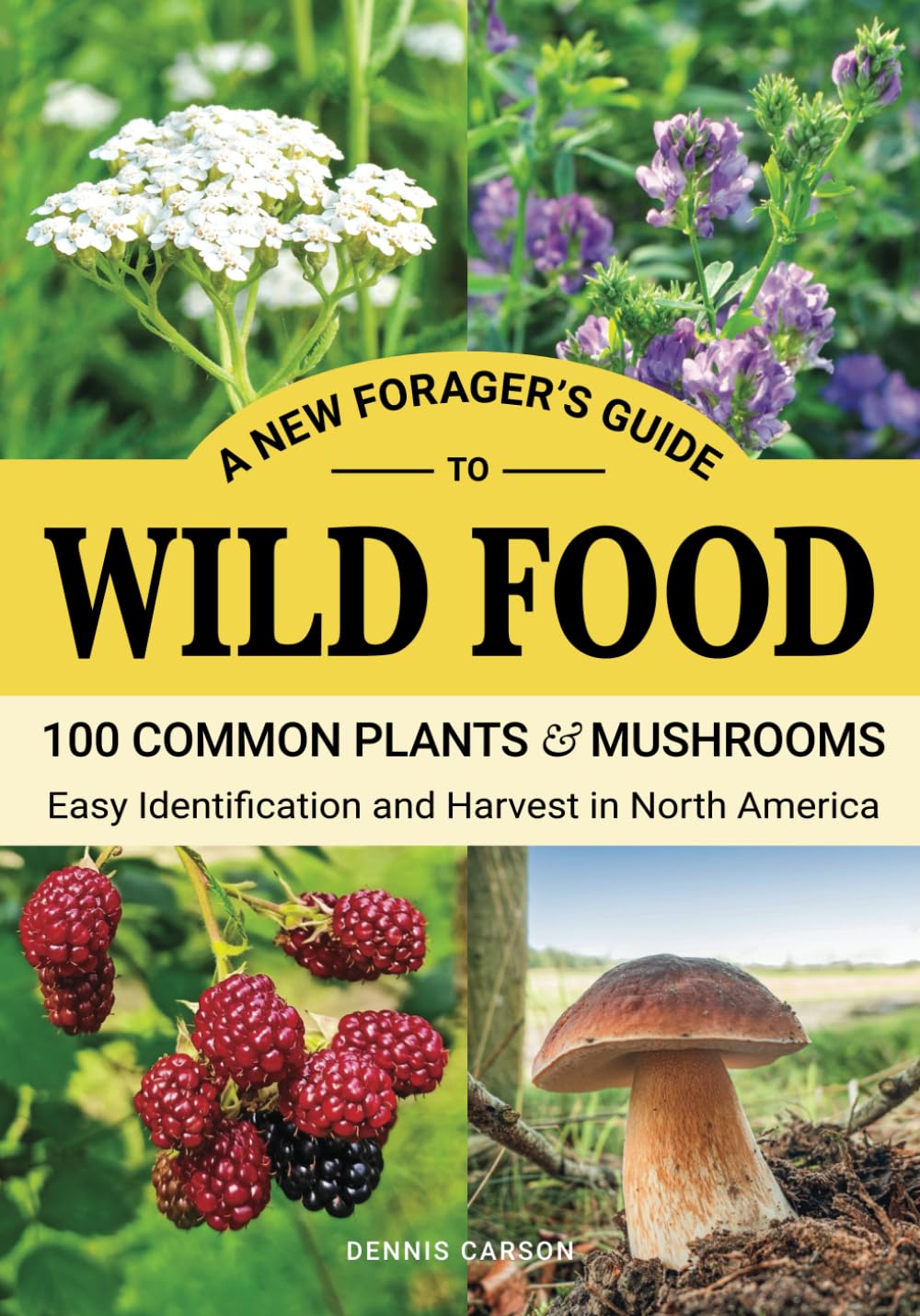 A New Forager’s Guide To Wild Food: 100 Common Plants and Mushrooms ...