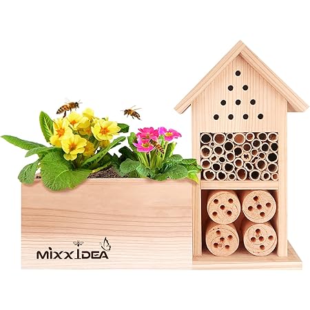 Amazon.com: Navaris Wooden Ladybug Habitat - Hanging Real Pinewood ...