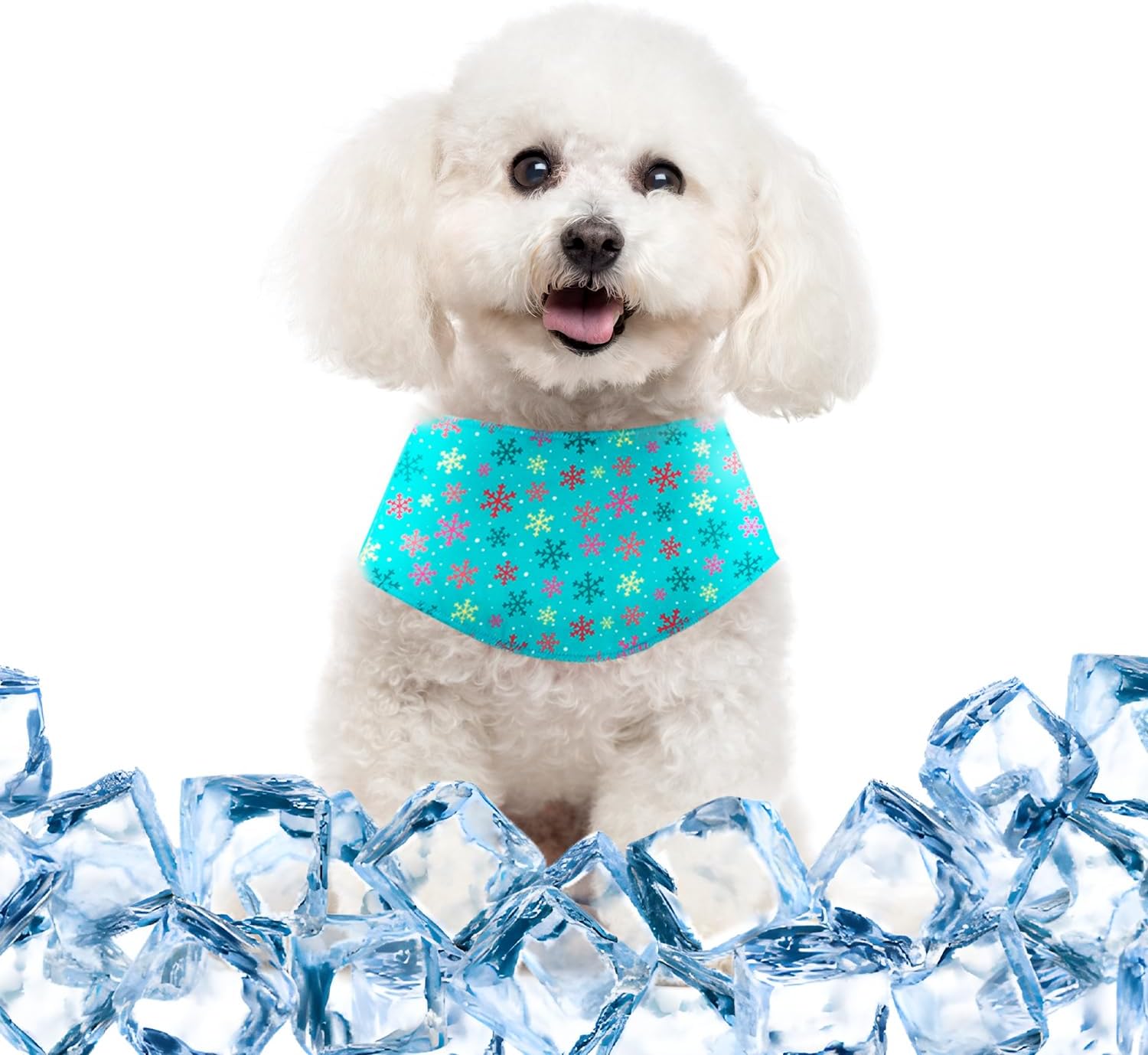 Amazon.com : Max Dog Instant Cooling Bandana - Breathable Pet Chill Out ...