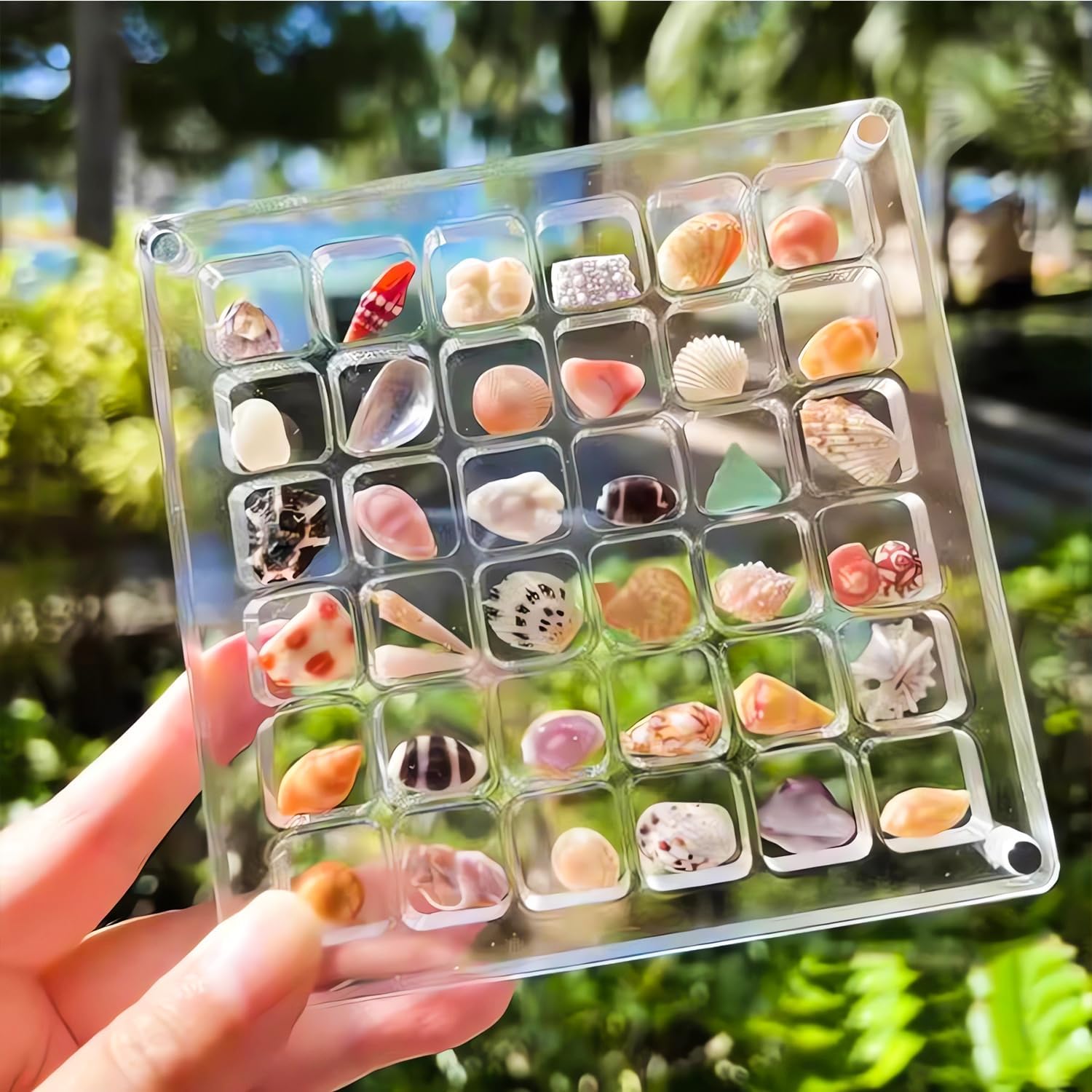 Amazon.com: IFSNOW Acrylic Magnetic Seashell Display Box, 36 Grids Small Seashells Display Case ...