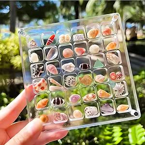Amazon.com: IFSNOW Acrylic Magnetic Seashell Display Box, 36 Grids Small Seashells Display Case ...