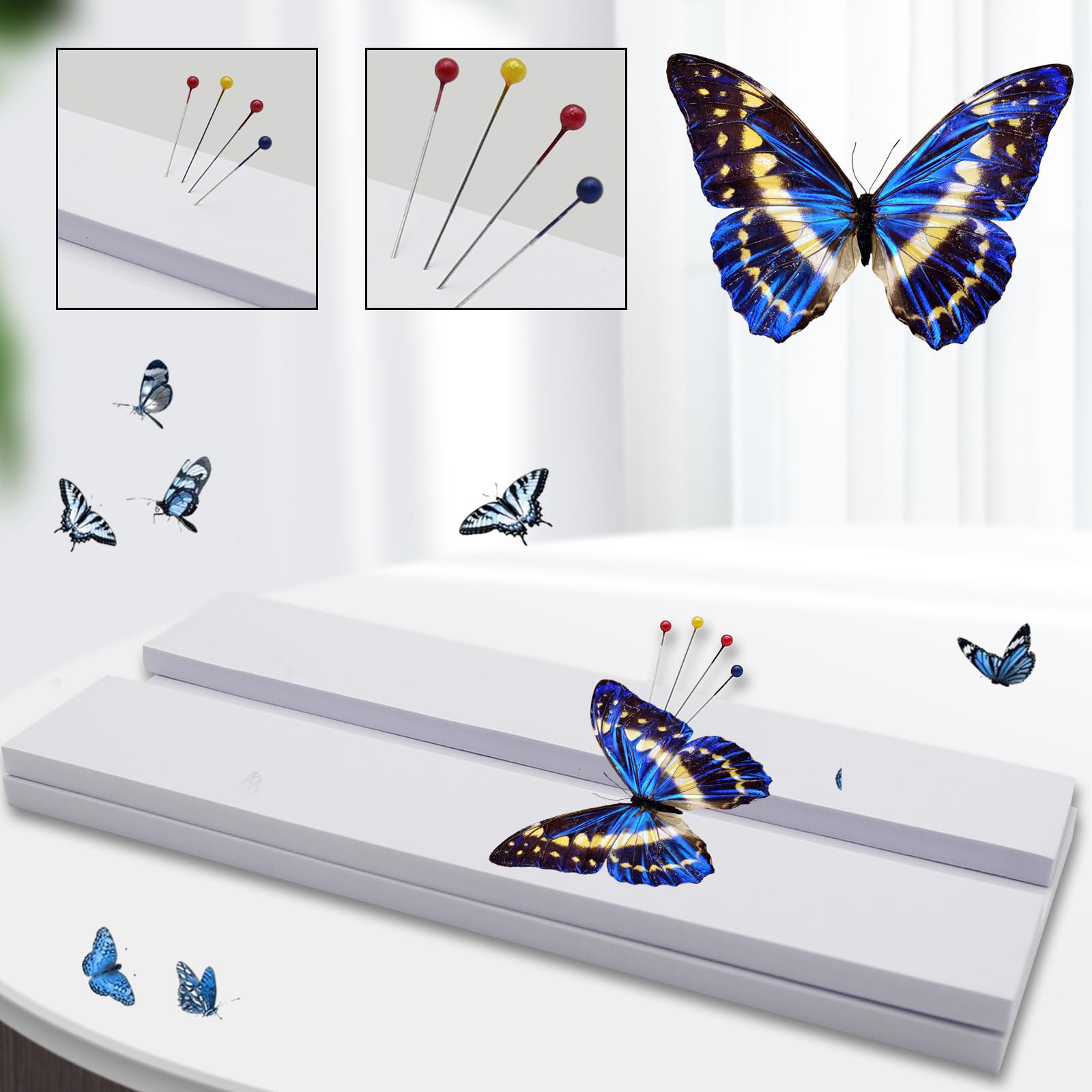 Adjustable Insect Pinning Board Eisco Labs Adjustable Insect Spreading ...