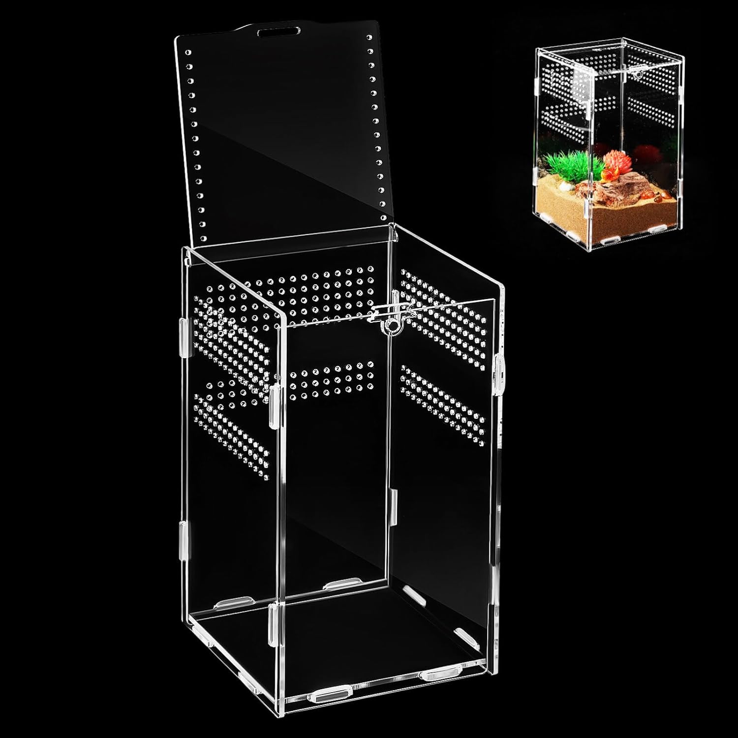 BESPORTBLE Reptile Feeding Box for Tarantula and Stick Insect 12x12x20 ...