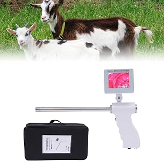 Goat Pregnancy: How Long Does It Last? | PetShun