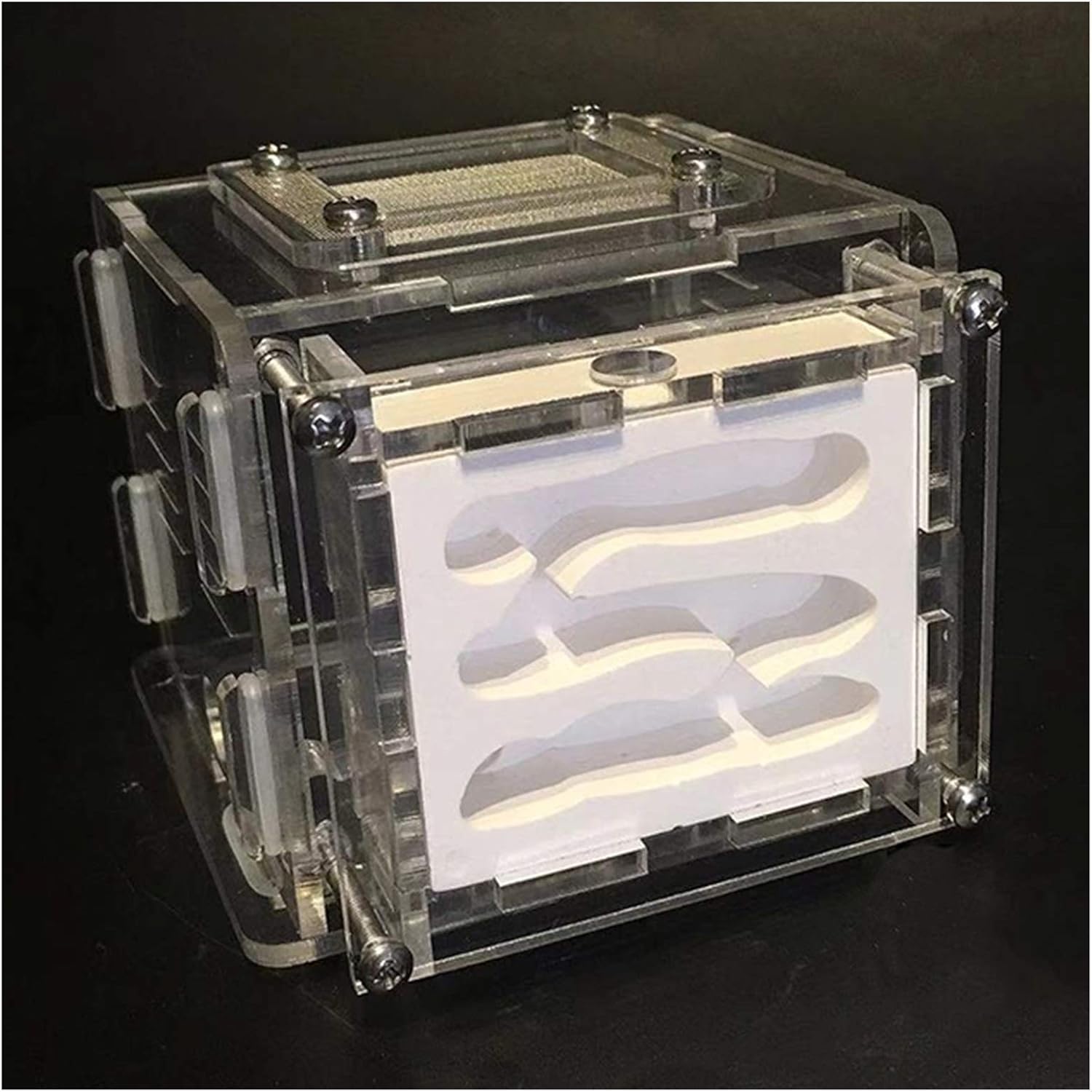 Amazon.com : MTFZD Ant Farm DIY Ecological Plaster Ant Farm Acrylic Ant ...