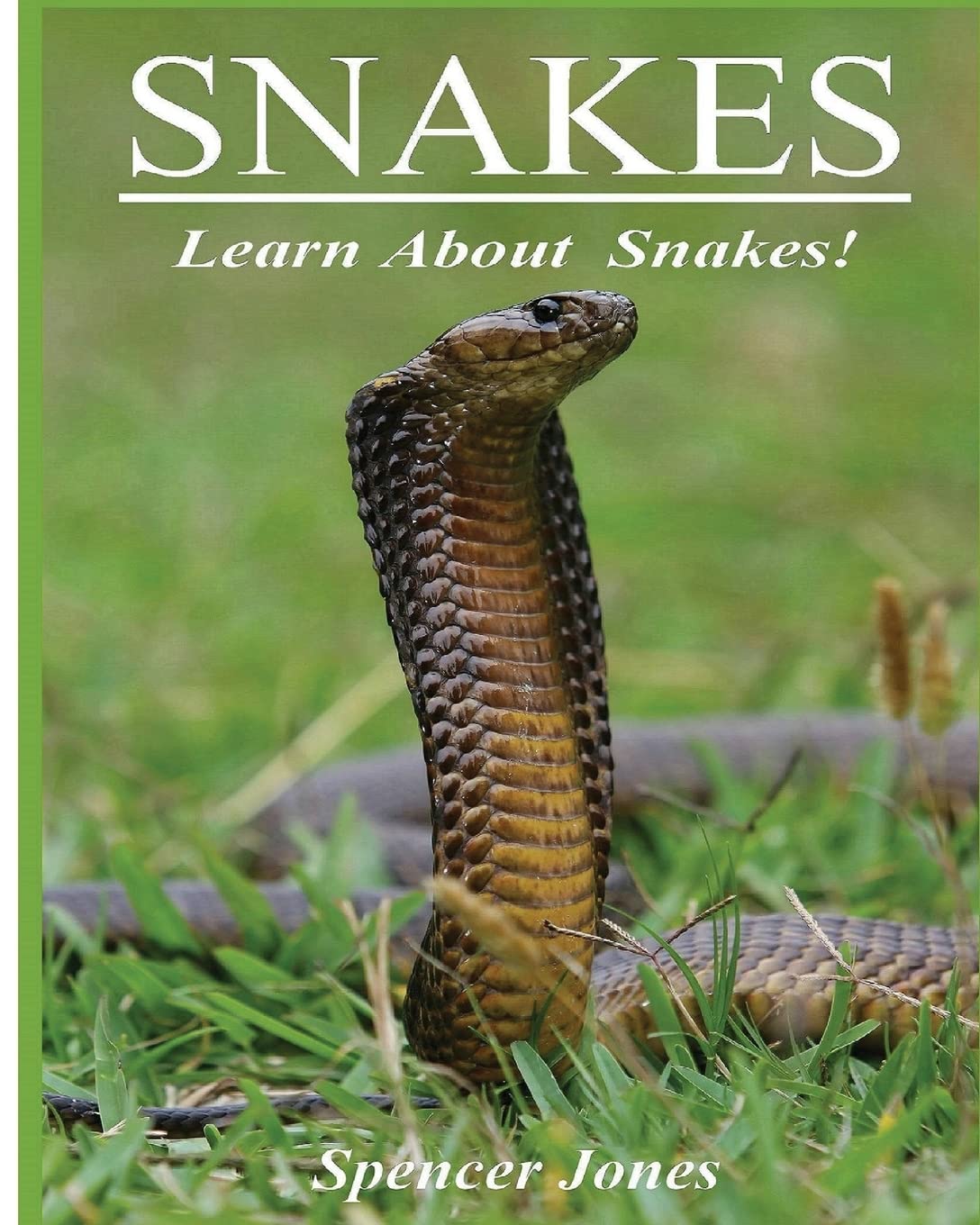 Snakes: Fun Facts & Amazing Pictures - Learn About Snakes (Amazing ...