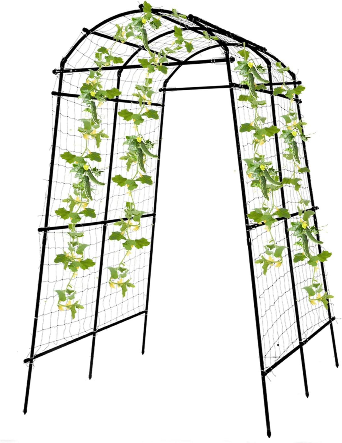 Amazon.com : 7 Feet Garden Arch Trellis for Climbing Plants Stand ...