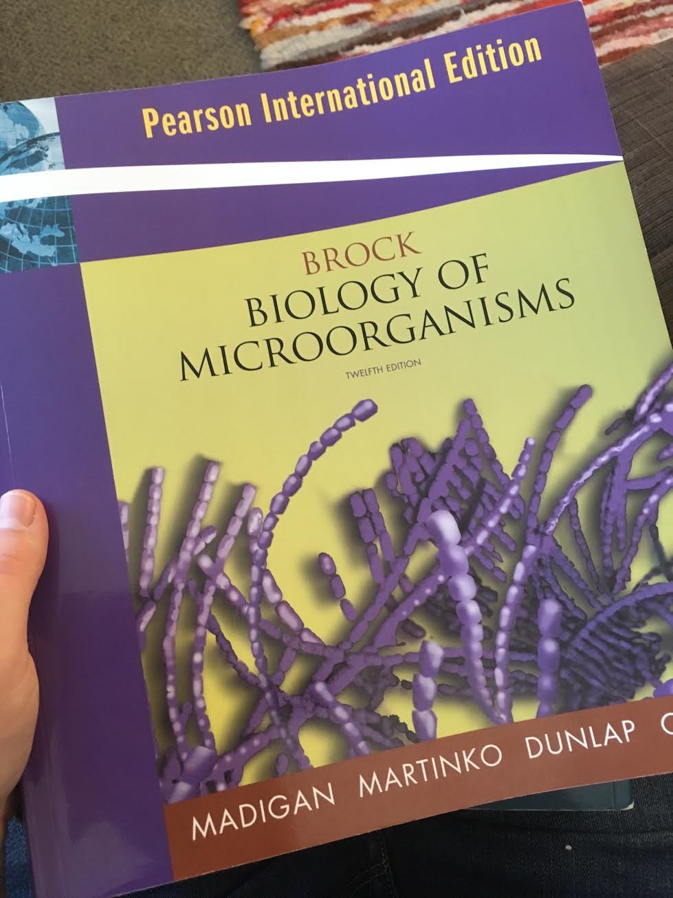 Brock Biology of Microorganisms 12th International Edition: Martinko ...