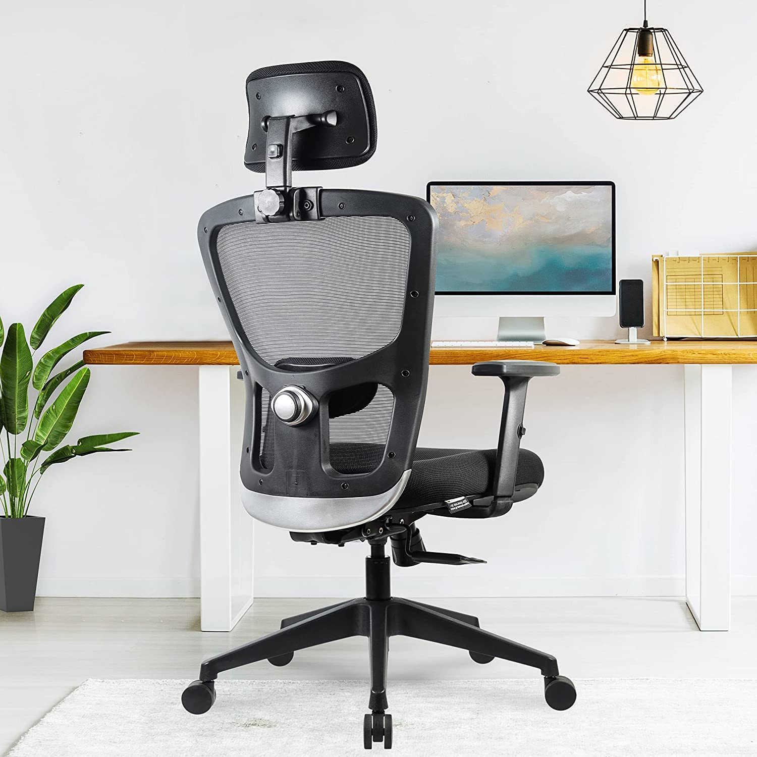 Buy Master Labs High Back Mesh Home & Office Ergonomic Chair with Multi ...