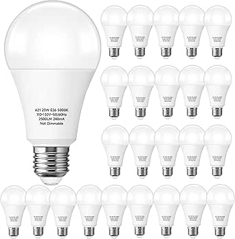 Amazon.com: 24 Packs 150-200W Equivalent LED Light Bulb, A21 23W Bright ...