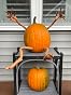 Amazon.com : Plow & Hearth Set of 4 Bendable Pumpkin Arms and Legs ...