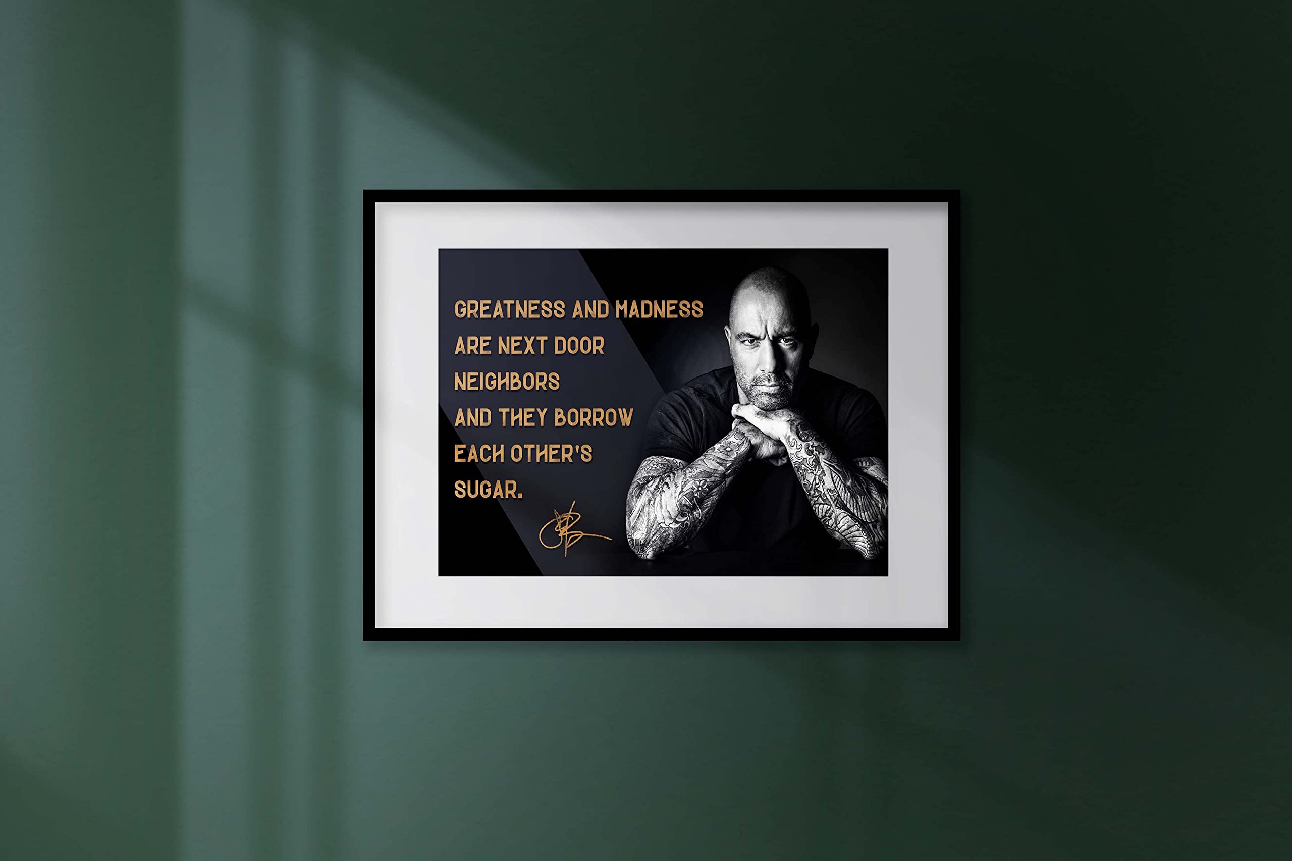 Joe Rogan Spaceship Quotes The Joe Rogan Experience #1169 – Elon