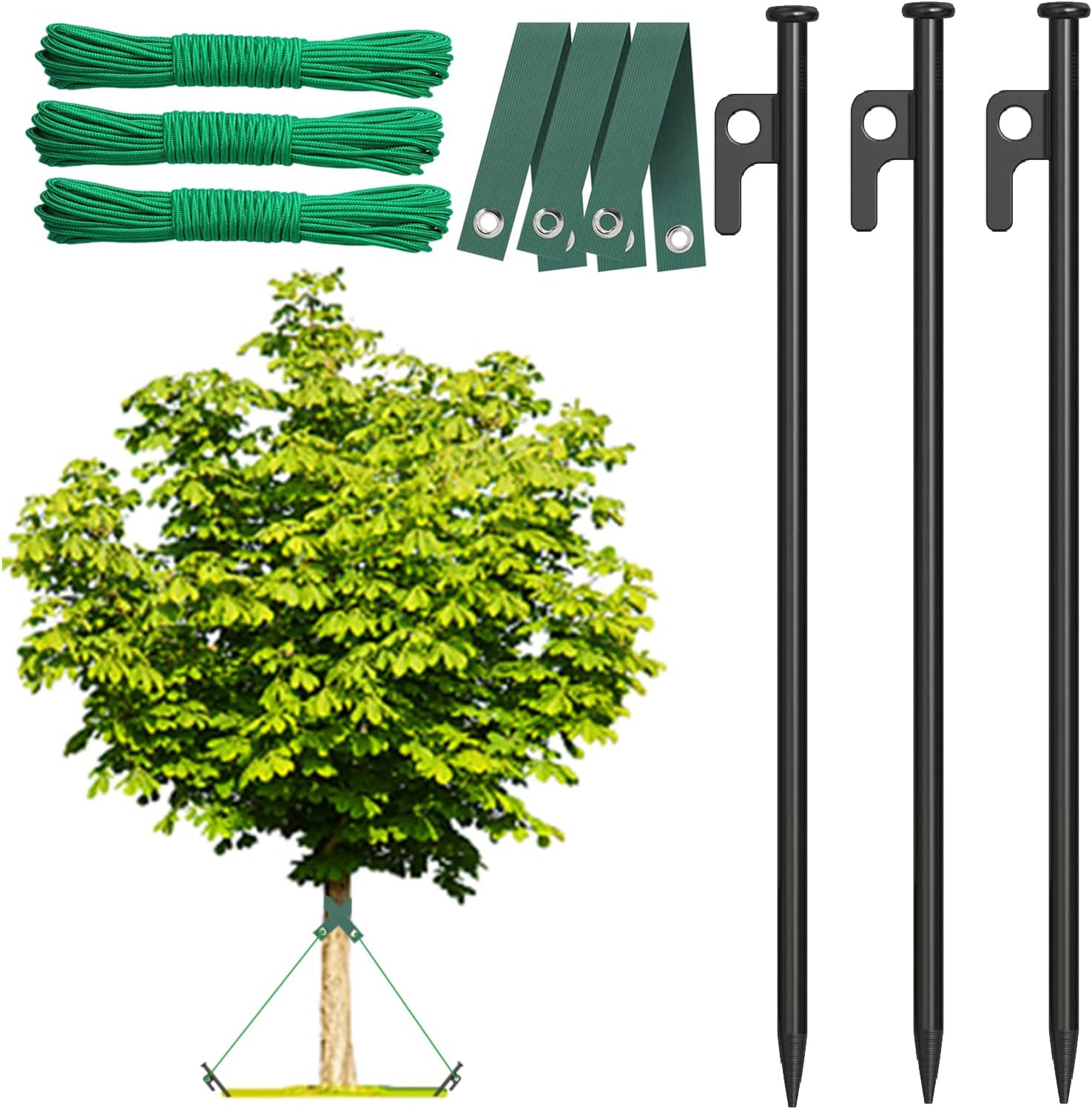 Amazon.com : Tree Stake Kits for 2 Trees- Tree Stakes and Supports for ...