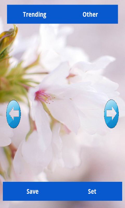 Spring Wallpapers - App on Amazon Appstore