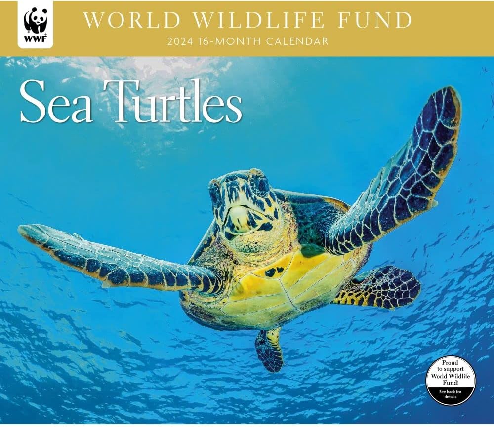 Calendar Ink, Sea Turtles WWF 2024 Wall Calendar : Amazon.co.uk ...