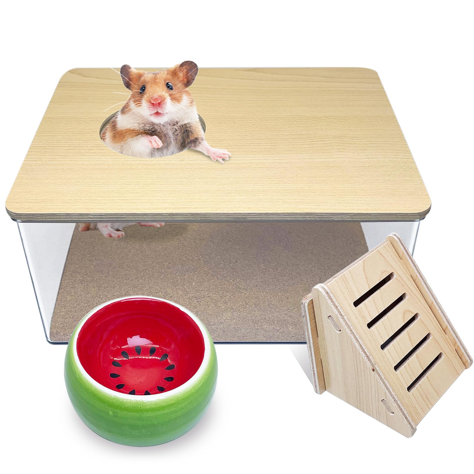 Amazon.com : PINVNBY Hamster Sand Bath Box, Transparent Acrylic Sand ...