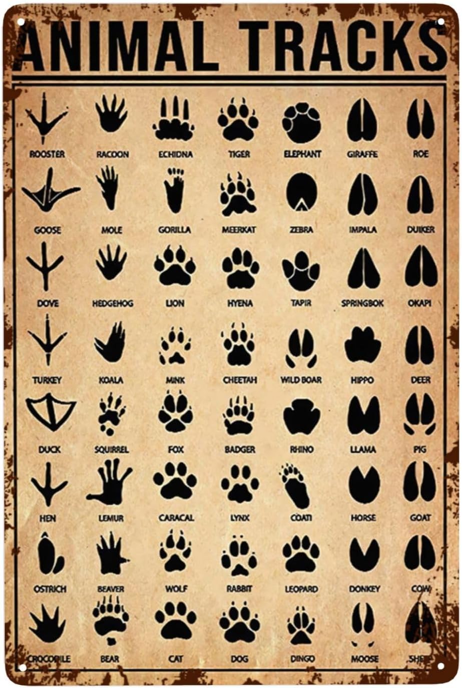 Amazon.com : Metal Tin Signs Retro Tin Sign Vintage Animal Tracks Metal ...