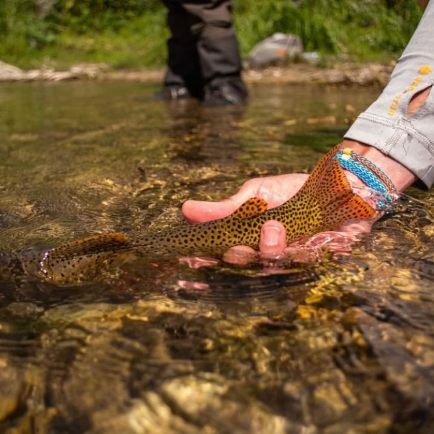 Snapklik.com : Rio Fly Fishing Fly Line Mainstream Type 3 Full Sinking ...
