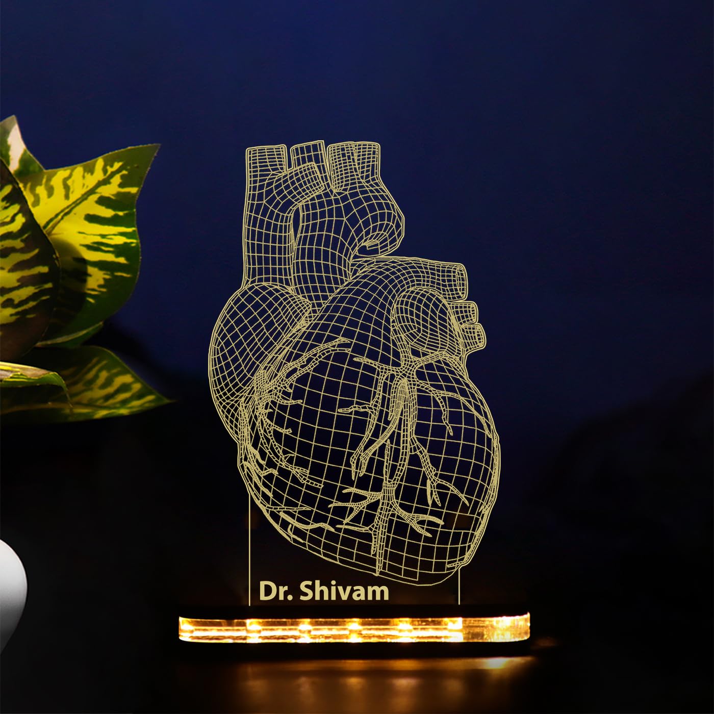 Buy StarLaser Personalized Name Lamp Cardiologist Heart 3D Illusion Led ...