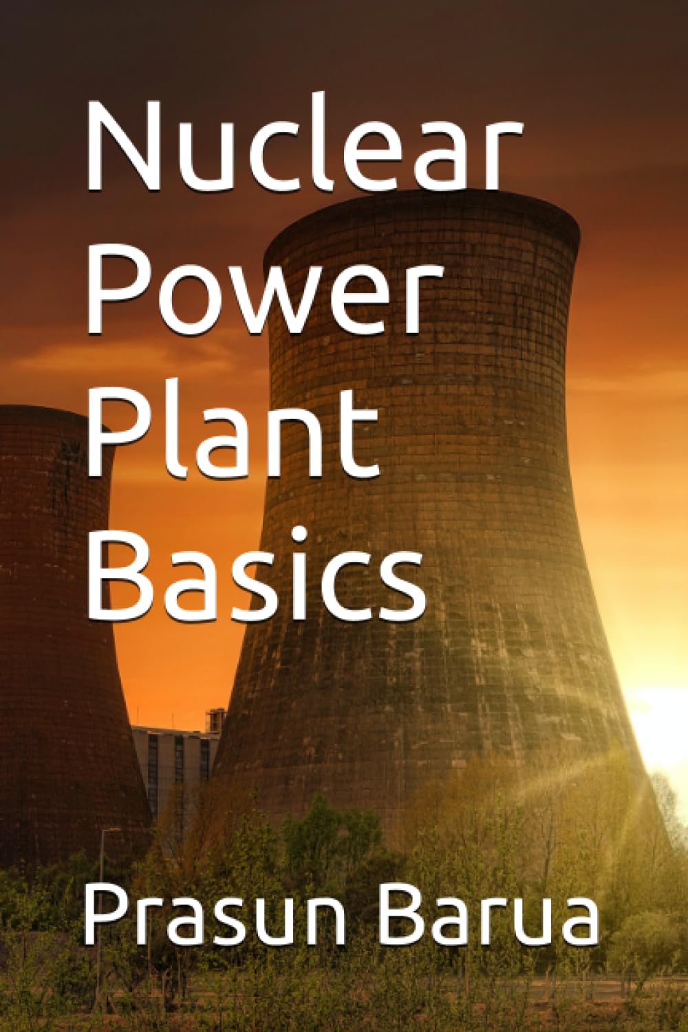 Nuclear Power Plant Basics: Barua, Prasun: 9798857241196: Amazon.com: Books