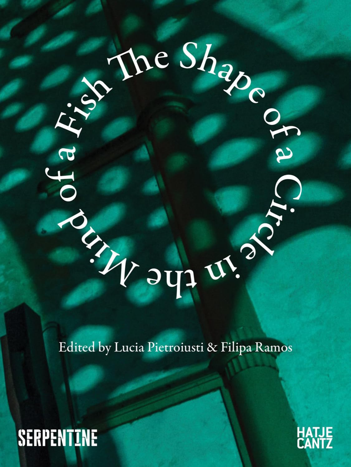 The Shape of a Circle in the Mind of a Fish: Pietroiusti, Lucia ...