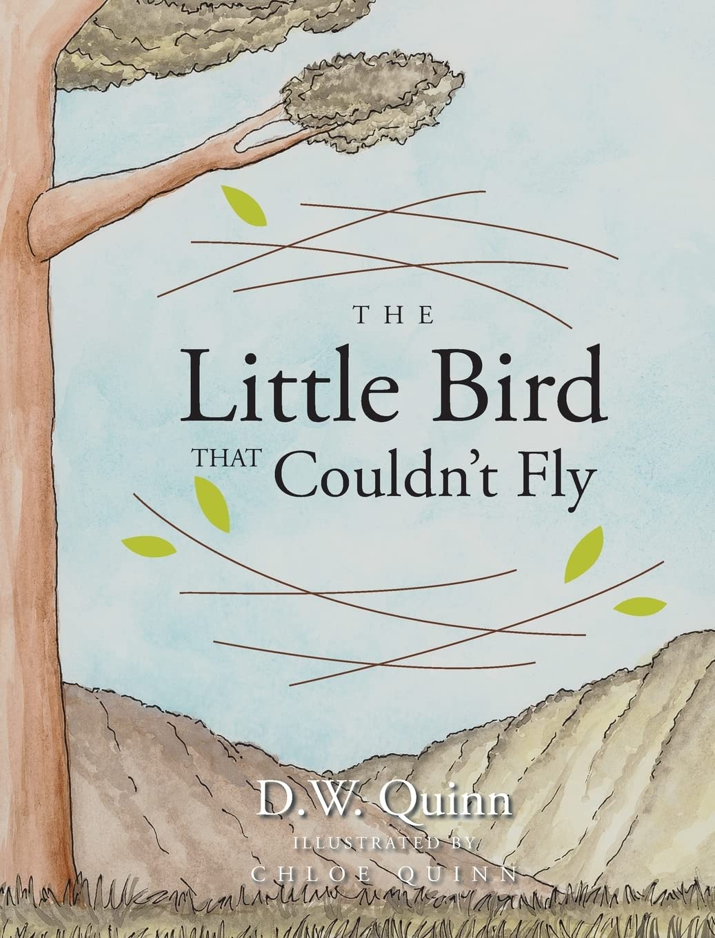 Amazon.com: The Little Bird That Couldn't Fly: 9798887519708: Quinn, D ...