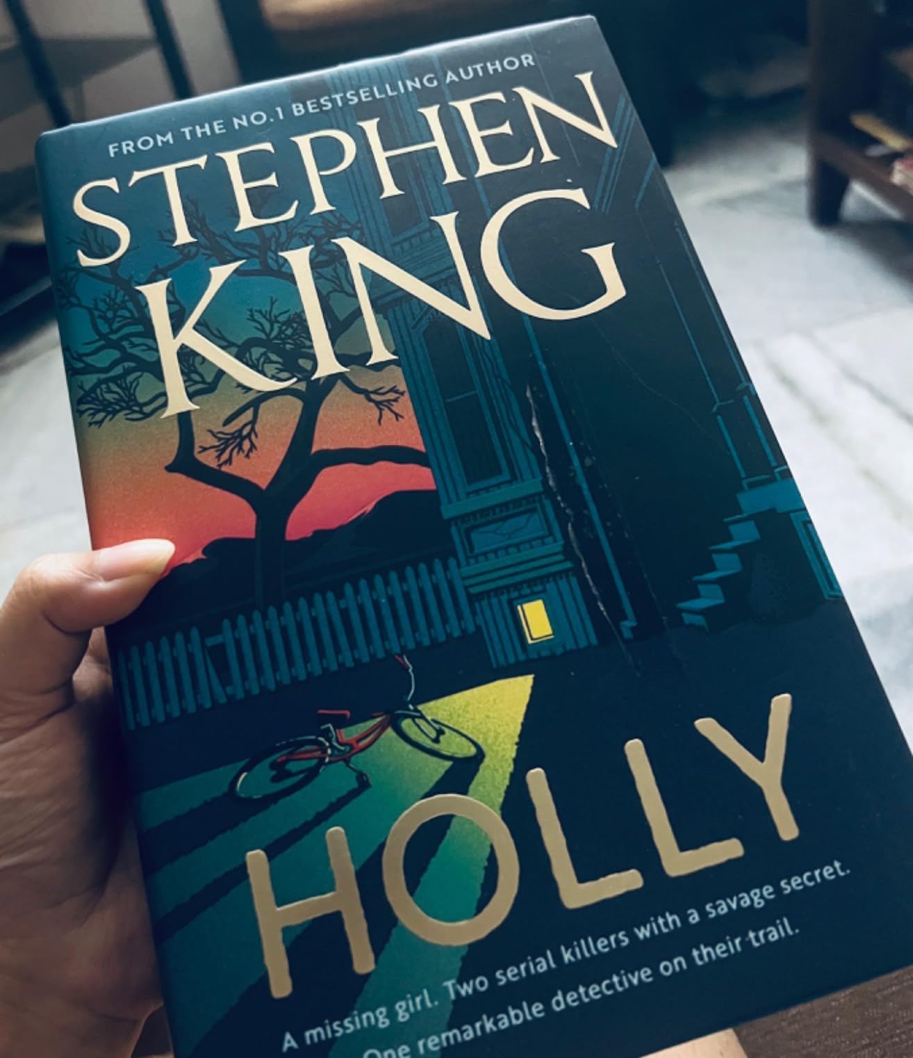 Holly: The chilling new masterwork from the No.1 Sunday Times ...
