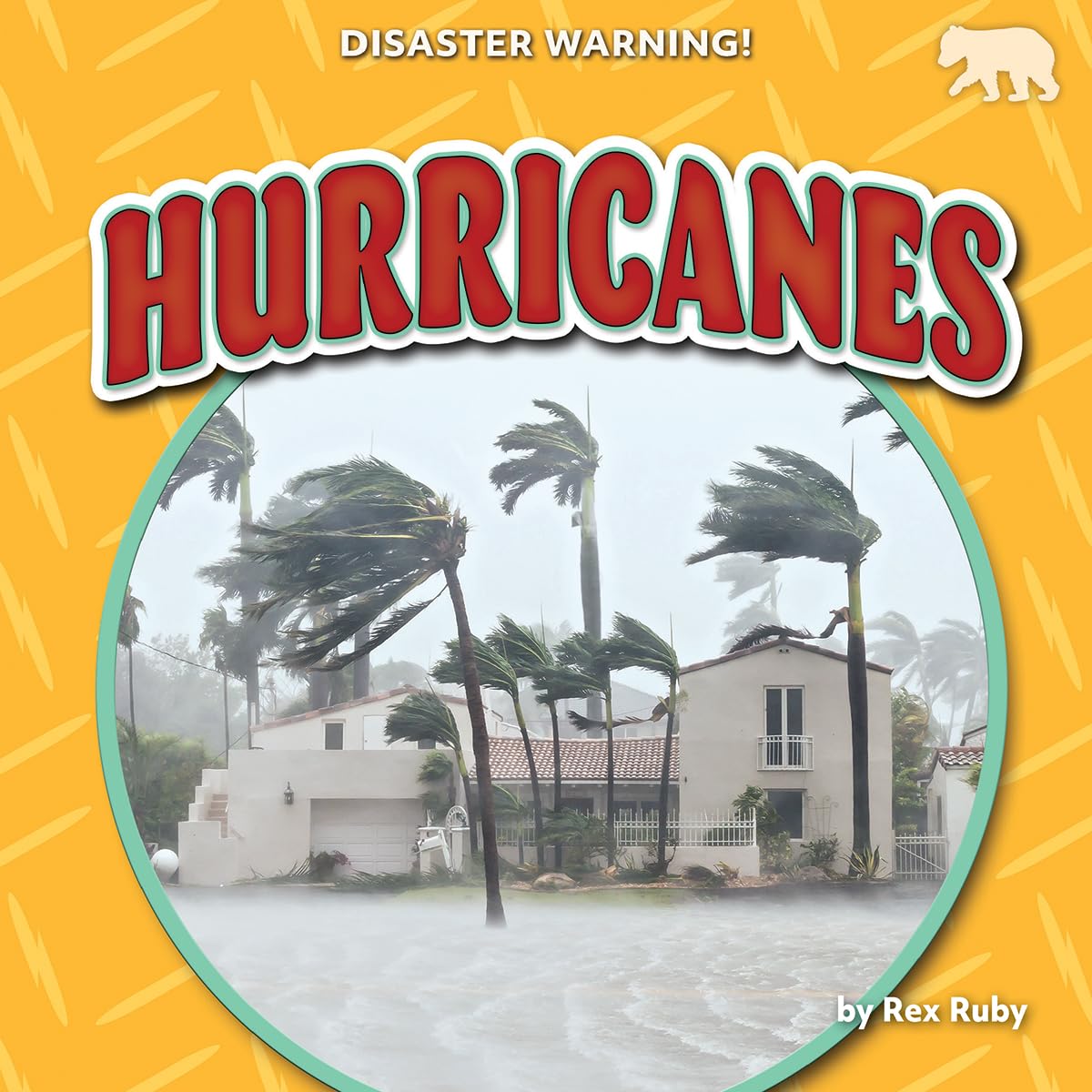 Hurricanes (Disaster Warning!): Ruby, Rex: 9798895774205: Amazon.com: Books