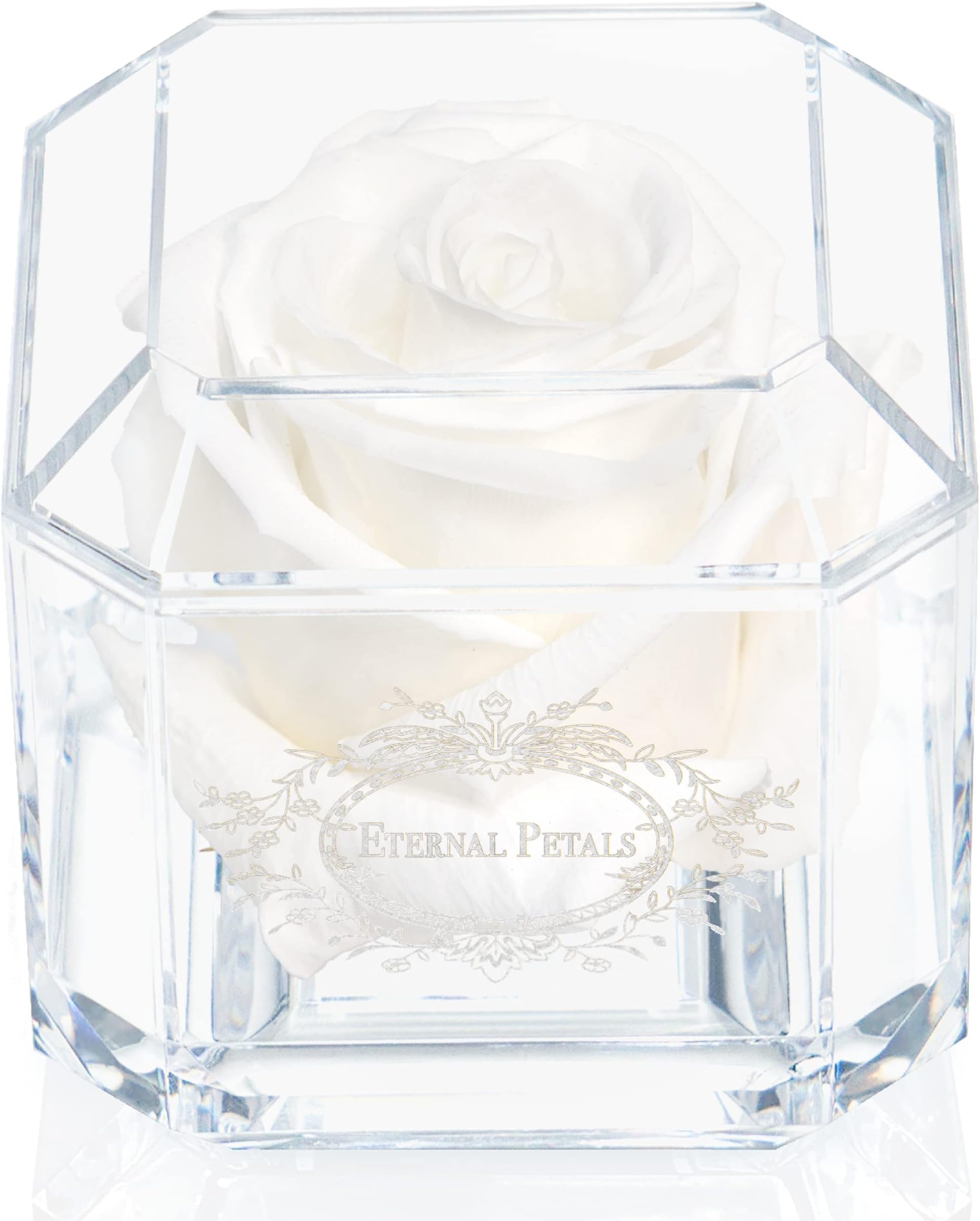 A 100% Real Rose That Lasts Years - Eternal Petals, Handmade in UK ...