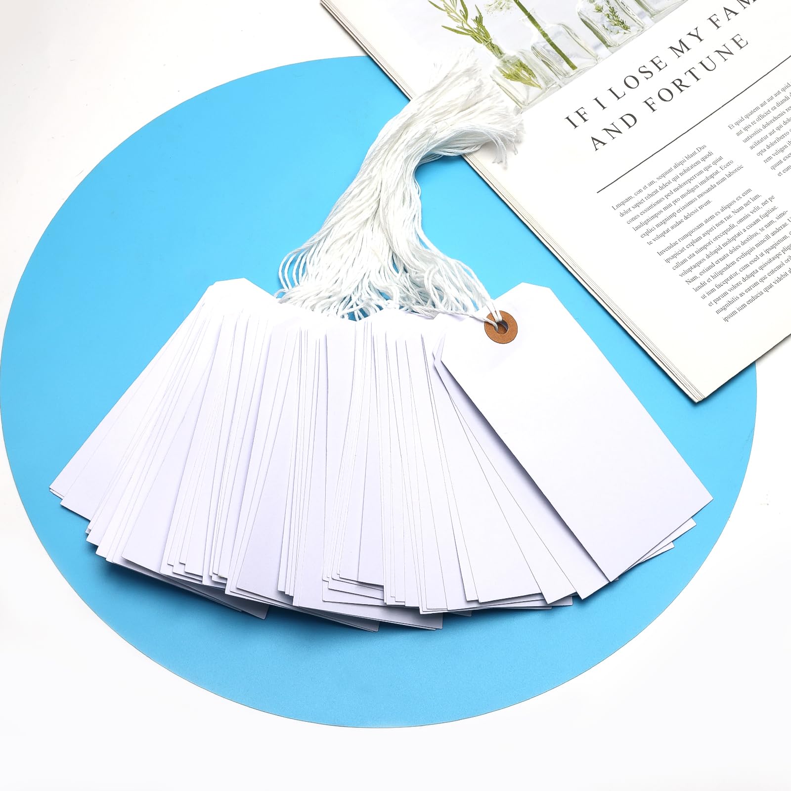 Snapklik.com : Coitak 100 PCS Blank Shipping Tags