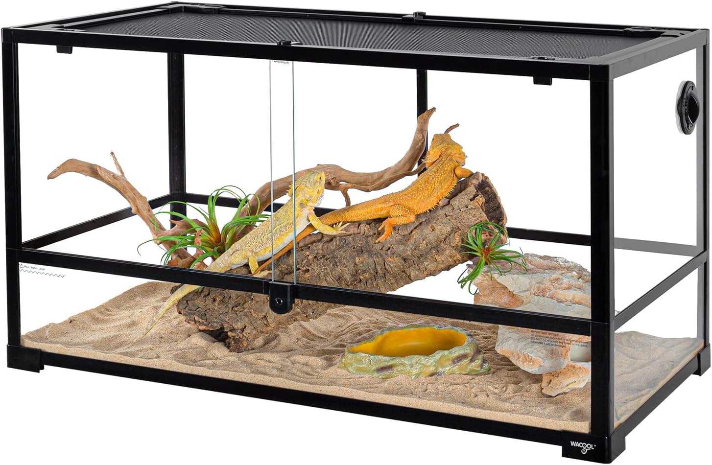 Amazon.com : WACOOL TERRA Large Reptile Tank 55 Gallon, 360°Full Vision ...