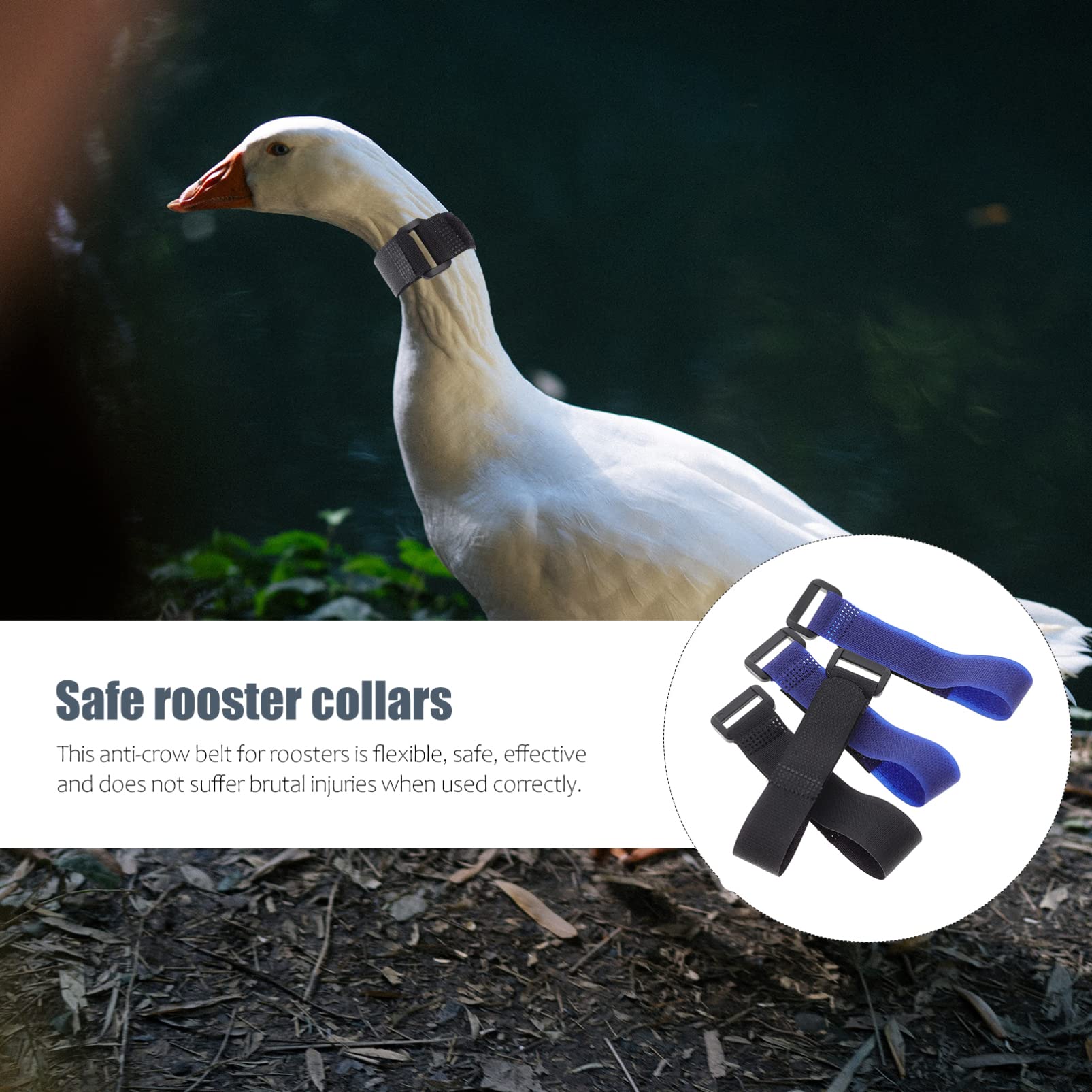 Rooster No Crow Collar No Crow Rooster Collar Chicken Collar Noise Free ...