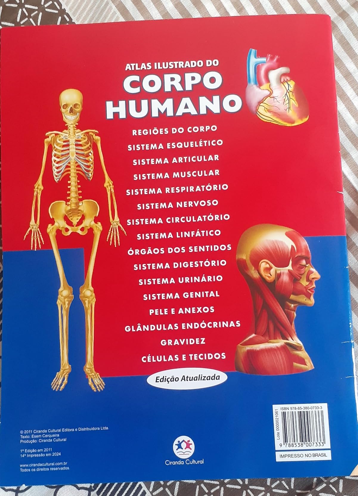atlas ilustrado do corpo humano ponta de estoque | Amazon.com.br