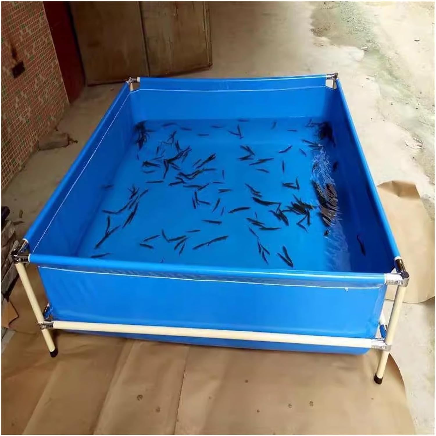 Amazon.com : Agriculture Farmed Fish Canvas Pool, 0.5mm Cube Fish Pond ...