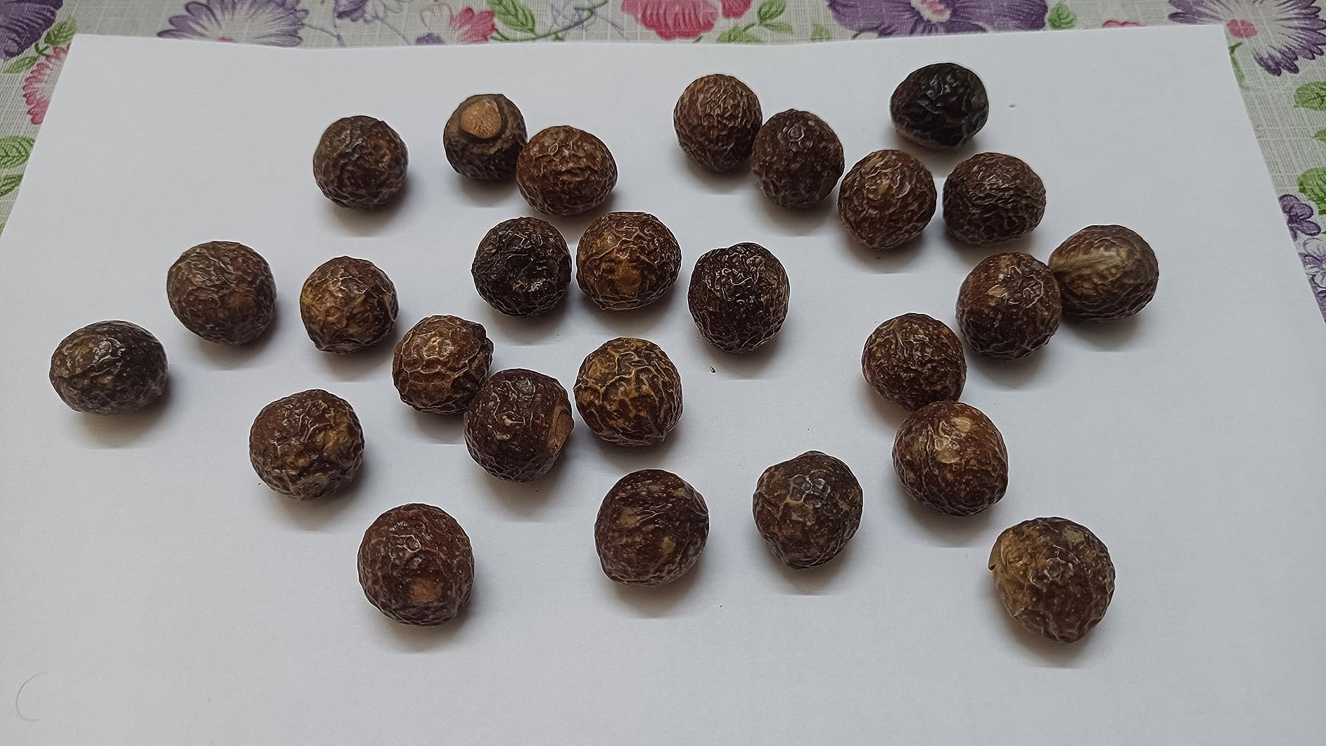 DAYAKISHAN Dried Reetha, Ritha Whole, Sorted Aritha, Raw Areetha ...