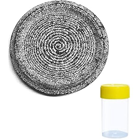 RARE OCEANS Haldi Turmeric Grinding Mortar Stone Small size (10 x 10 x ...