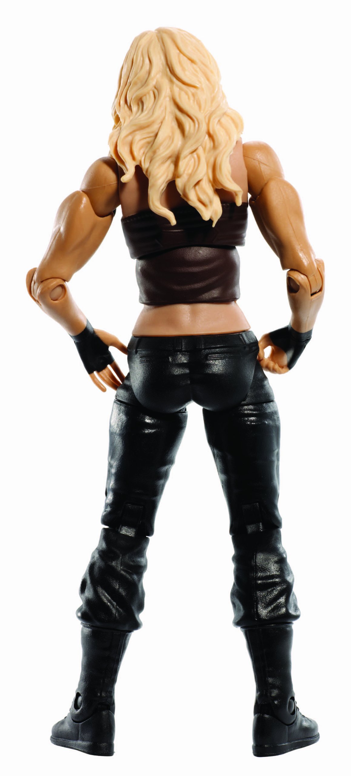 Wwe Kaitlyn Action Figure