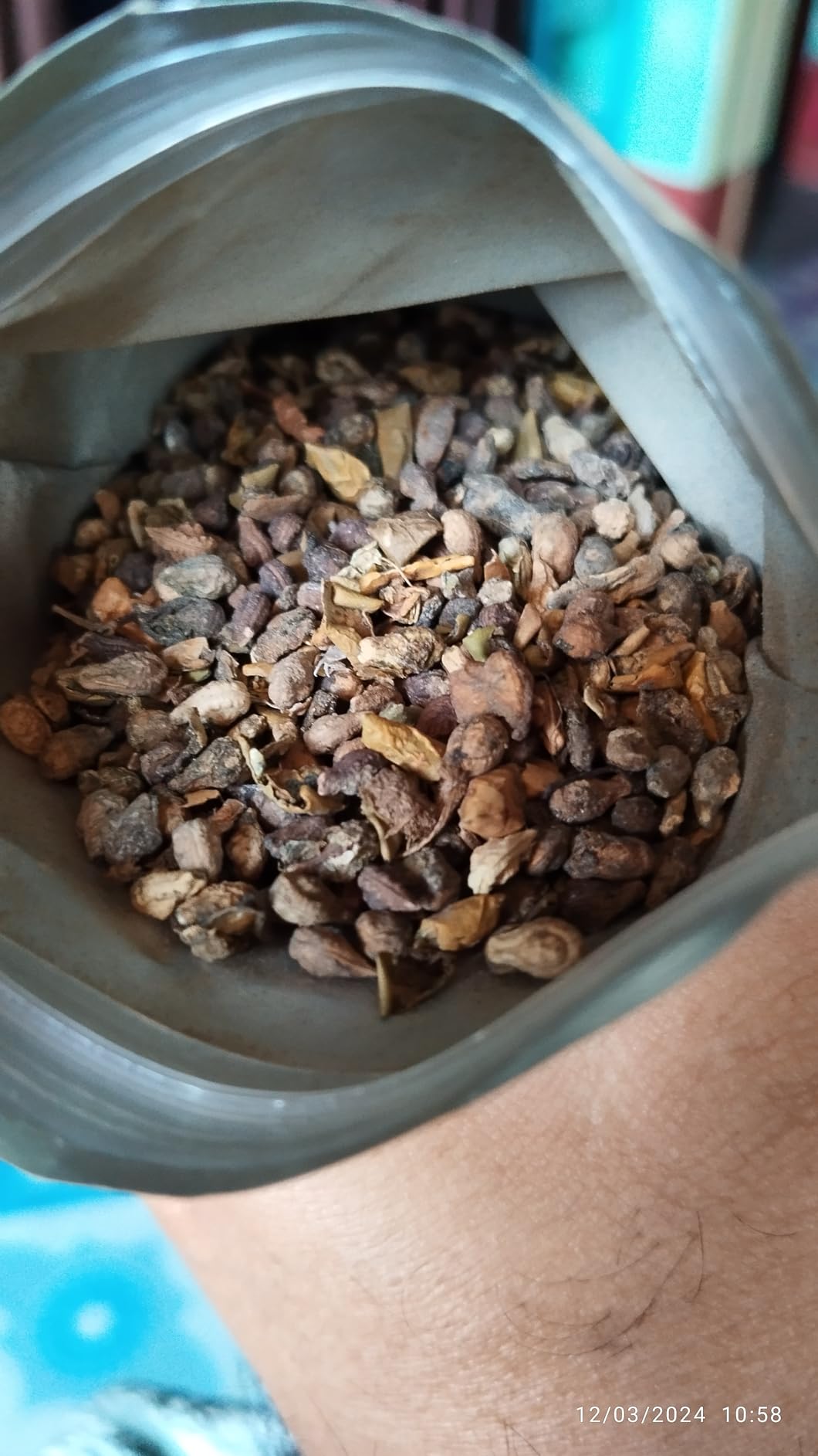 Buy ShubhBhakti™ Shivlingi Beej - Bryonia laciniosa seed - 50 Grams ...