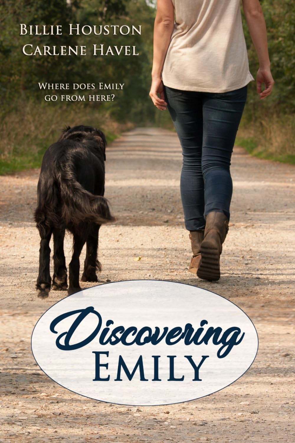 Discovering Emily: Havel, Carlene, Houston, Billie: 9780999427668 ...