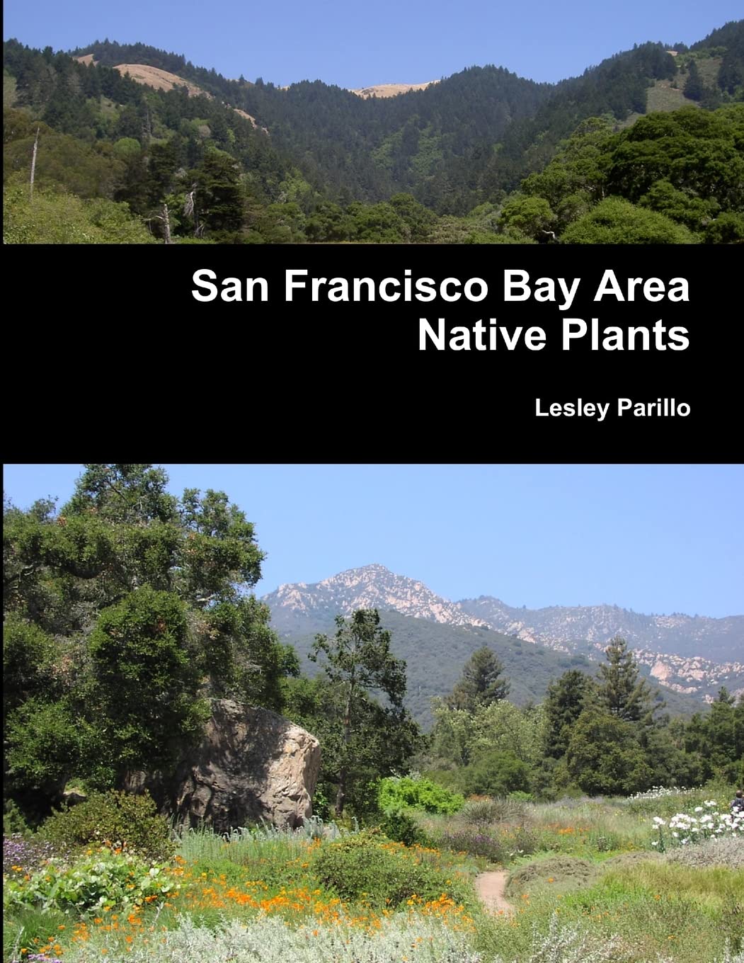 Snapklik.com : San Francisco Bay Area Native Plants