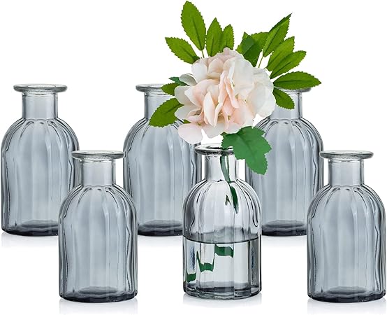 Amazon.de: Glasseam Kleine Vasen Set Glasvase, 6 Stück Mini Blumenvase Grau Vintage Vase Glas ...