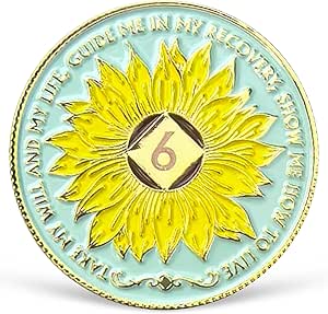 Amazon.com : Sunflower 6 Year NA Medallion NA AA Sobriety Coin with ...