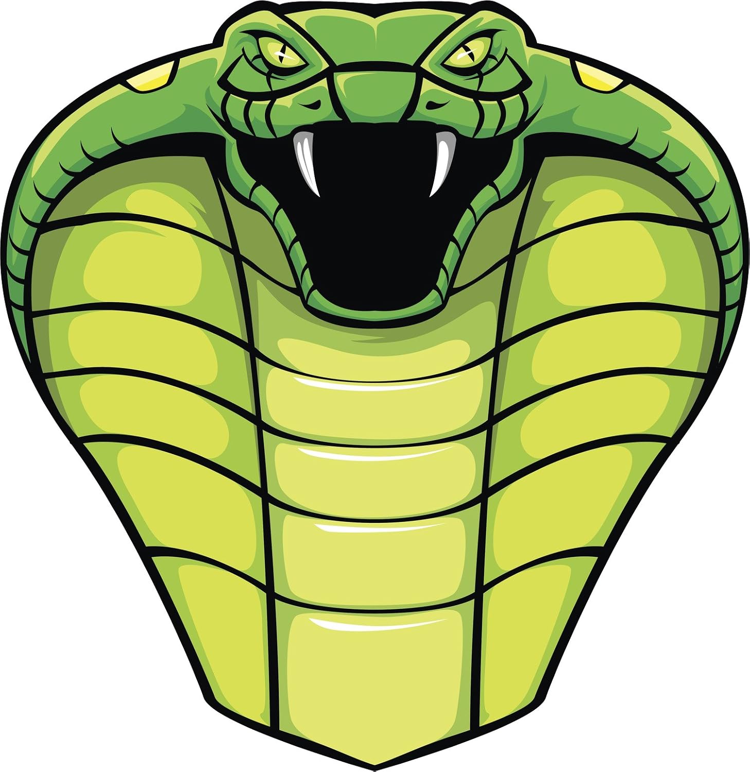 Amazon.com - Divine Designs Simple Neon Green Cobra Snake Cartoon Vinyl ...